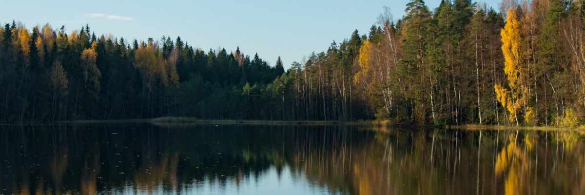 Hyra bil i Tammerfors | Boka billigaste hyrbilen här! | Full försäkring ...